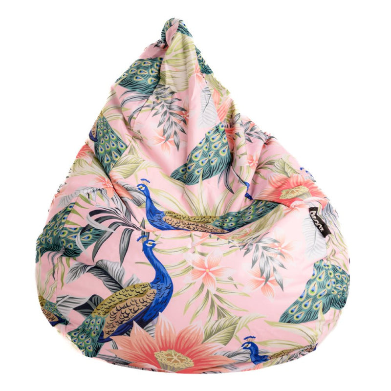 Beanz | Big Bean | Pink Peacock – Beanz Lifestyle